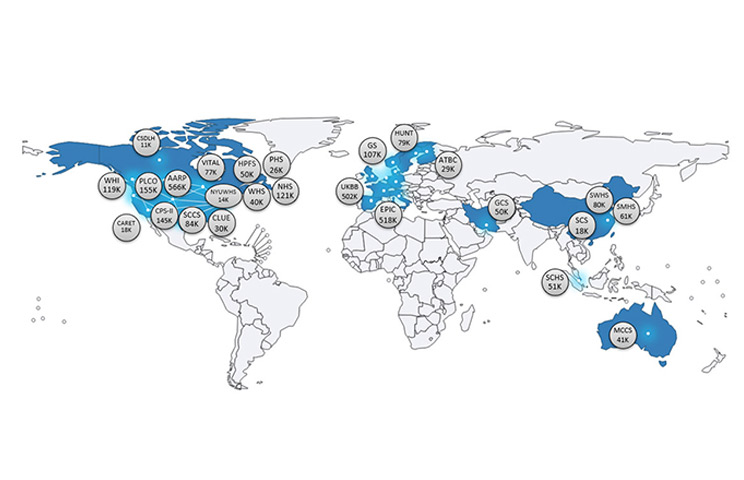 IARC – INTERNATIONAL AGENCY FOR RESEARCH ON CANCER