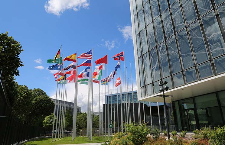 Launch of the WHO Global Strategy to Accelerate the Elimination of ...